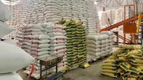 Cách bảo quản gạo trong kho được lâu, không bị sâu mọt